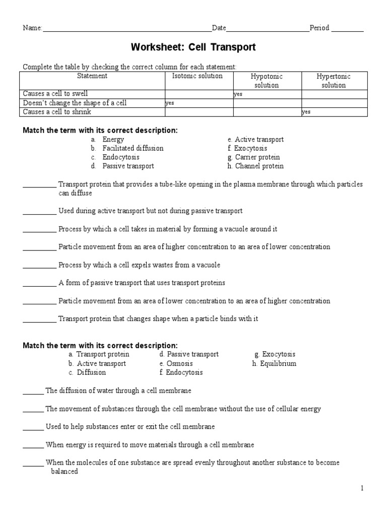 Worksheet: Cell Transport: Match The Term With Its Correct Description ...