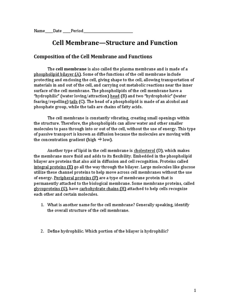 Worksheet. Cell Membrane Structure and Function | PDF | Cell Membrane ...