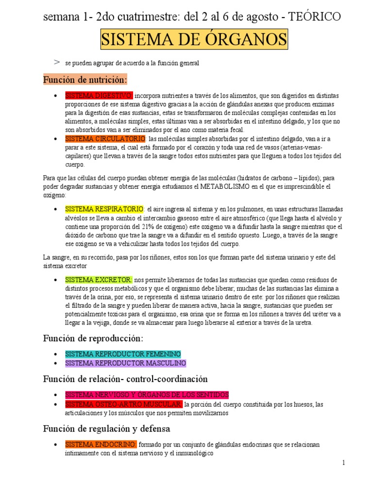 Introducción a los Sistemas del Cuerpo Humano | PDF | Sistema digestivo ...