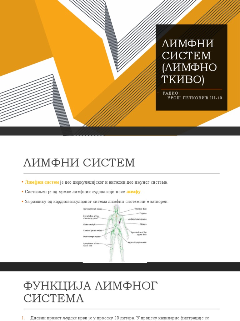Limfni Sistem | PDF