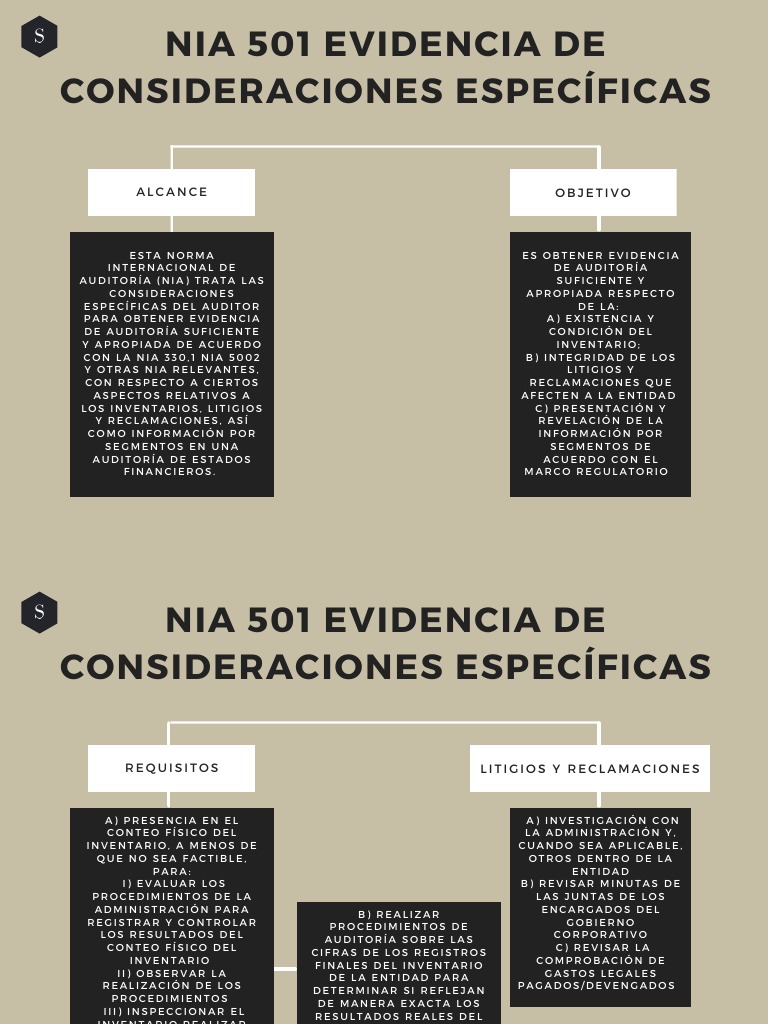 Nia 501 Evidencia de Consideraciones Específicas: Alcance | PDF | Auditoría