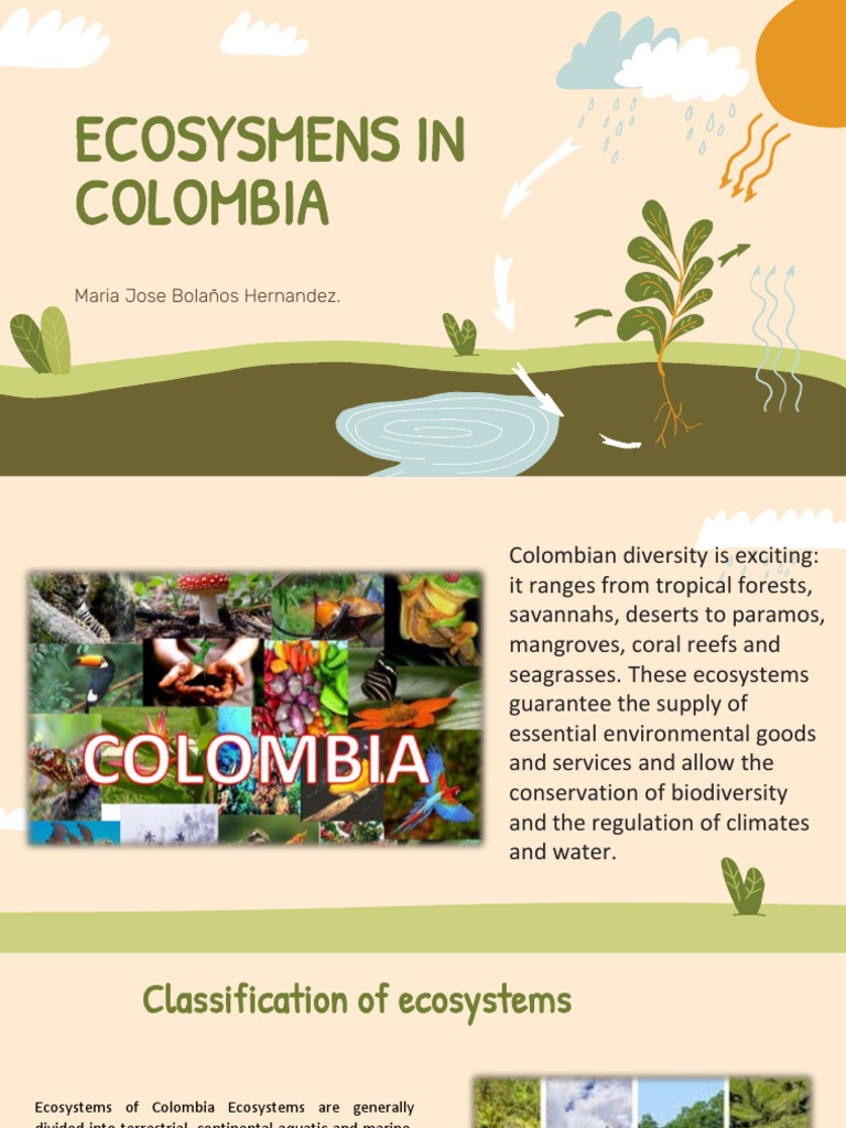 Ecosystems in Colombia | PDF | Forests | Colombia