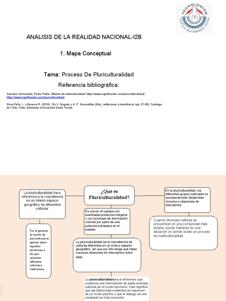 MAPA CONCEPTUAL Proceso de Pluriculturalidad | PDF | Multiculturalismo