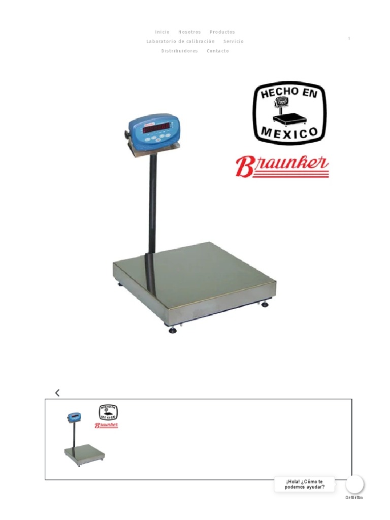 Báscula Braunker M45CS, 45 X 45 CM - Básculas Braunker MX | PDF
