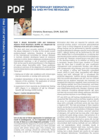 Canine Pruritus Visual Analog Scale | PDF
