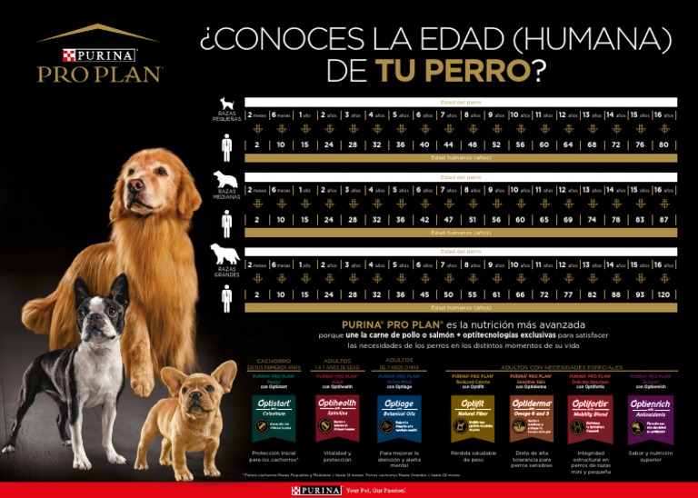 NE Poster Edades Perros | PDF