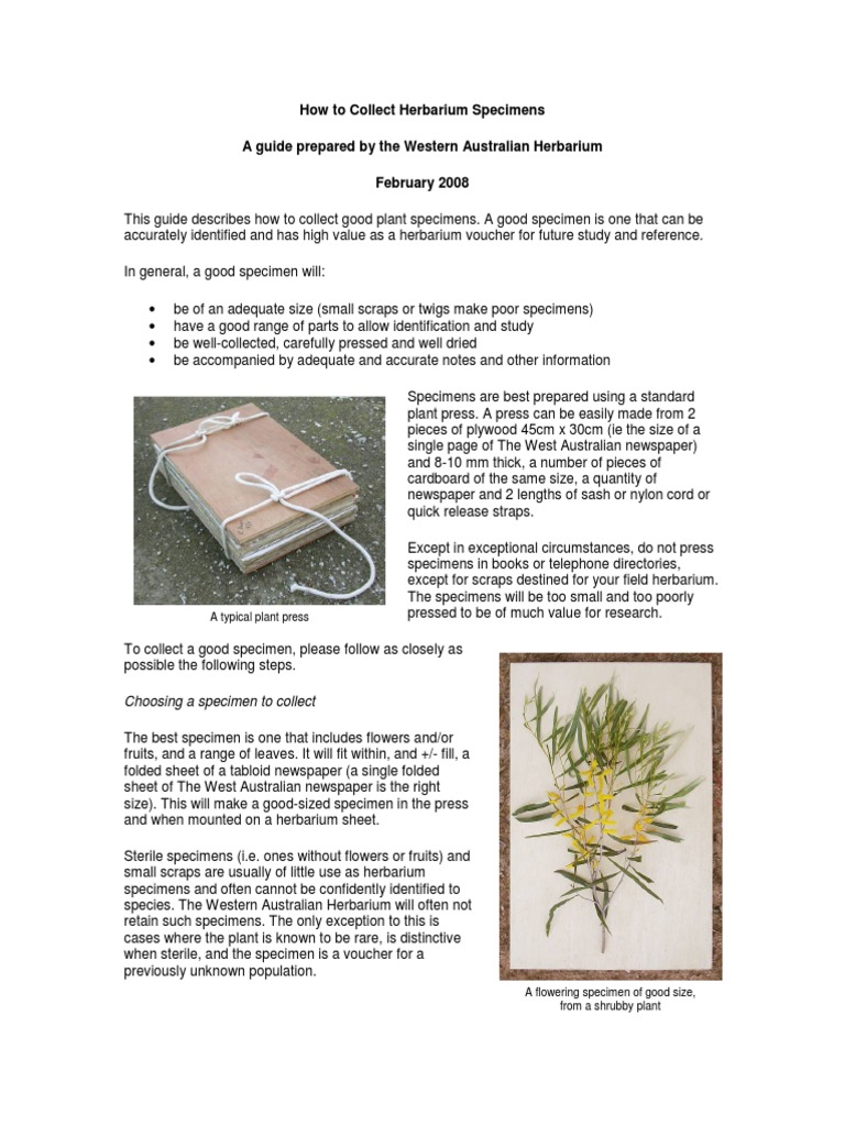 How To Collect Herbarium Specimens A Guide Prepared by The Western ...