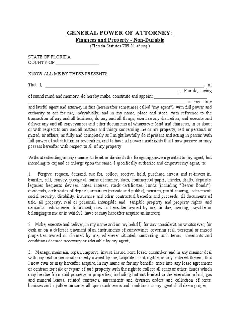 Florida General Power of Attorney Form | Download Free PDF | Trust Law ...