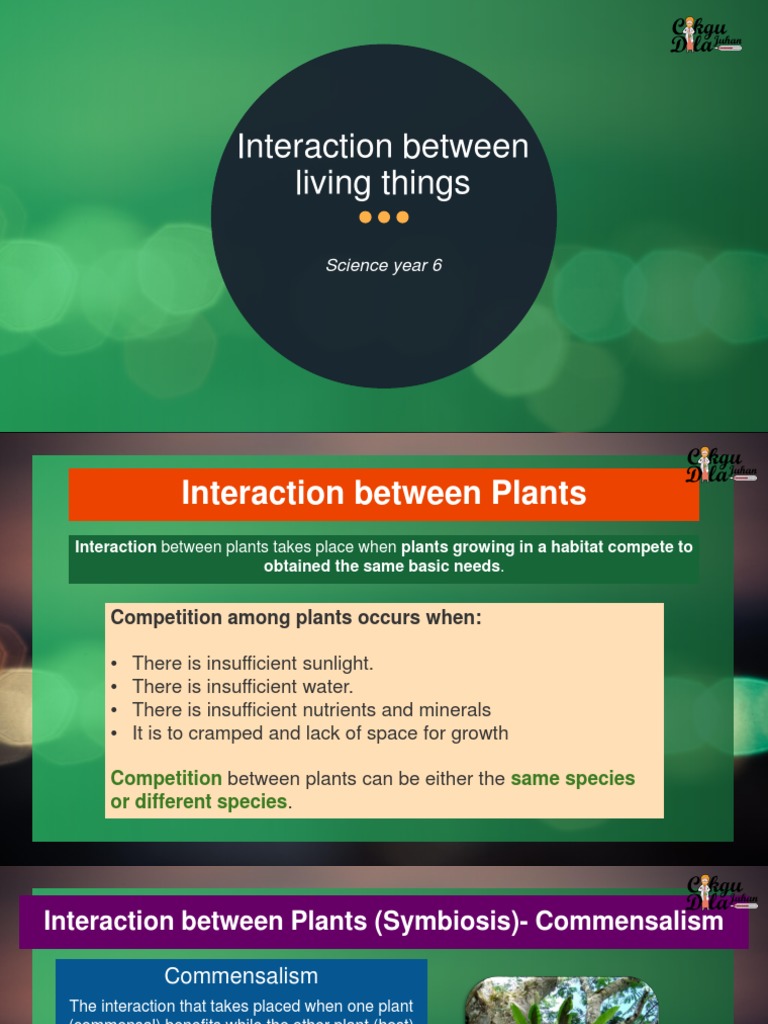Interaction Between Plants | PDF | Science & Mathematics