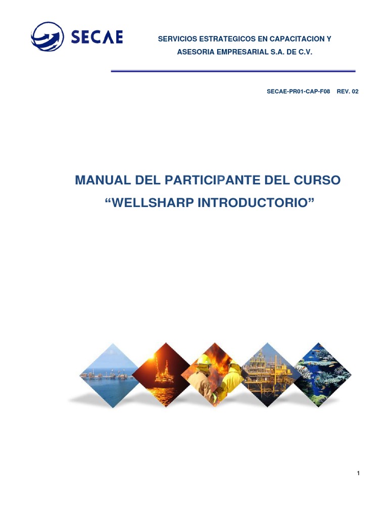 Manual Wellsharp | PDF | Permeabilidad (Ciencias de la Tierra) | Roca ...