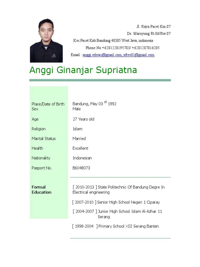 CV Anggi 2019 Ok | PDF