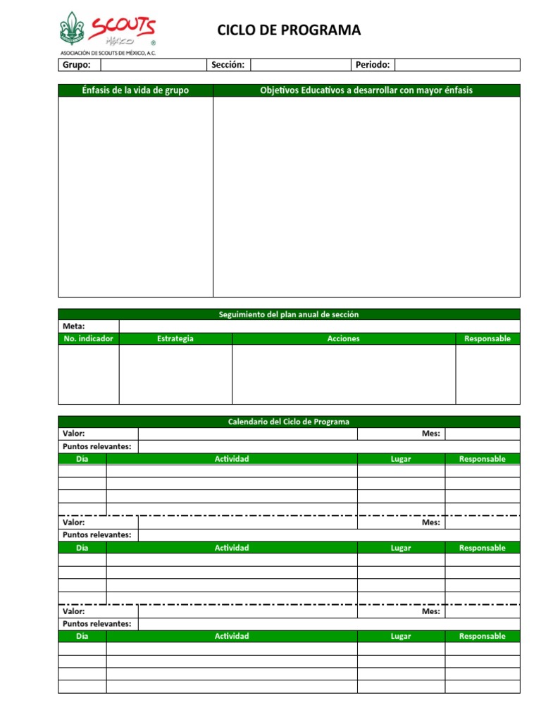 Formato - Ciclo de Programa | PDF