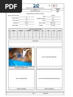 Check List Embarques | PDF