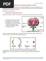 Sortie Écologique | PDF | Écologie | Plantes
