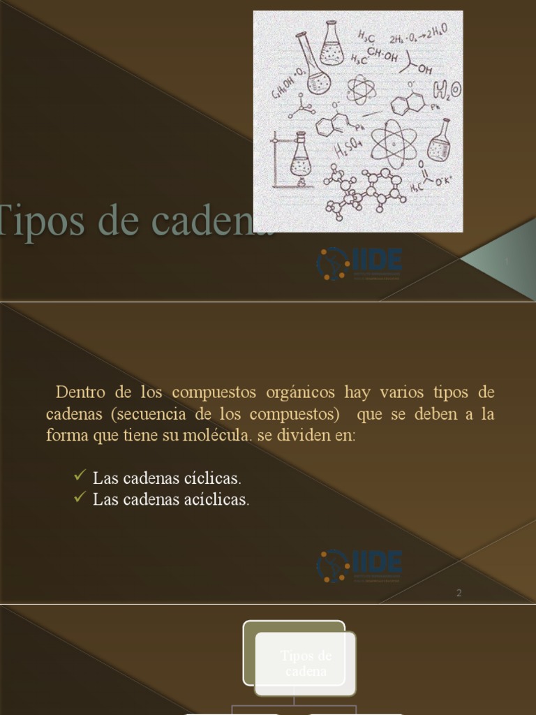 Tipos de Cadenas en Química Orgánica | PDF | Hidrocarburos | Compuestos ...