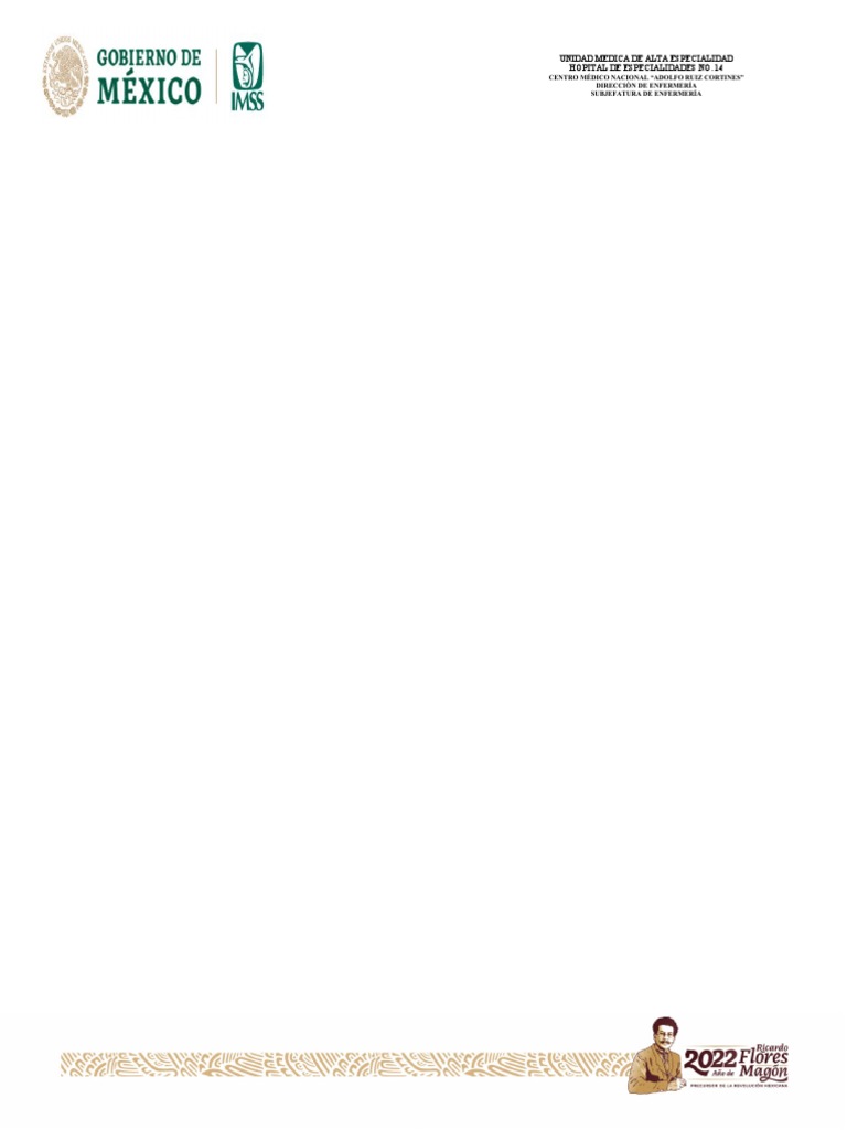 Logo Imss 2022 | PDF