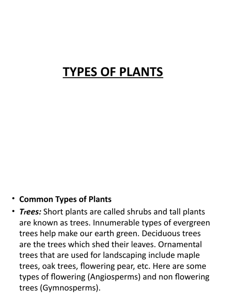 Types of Plants | PDF | Trees | Bulb