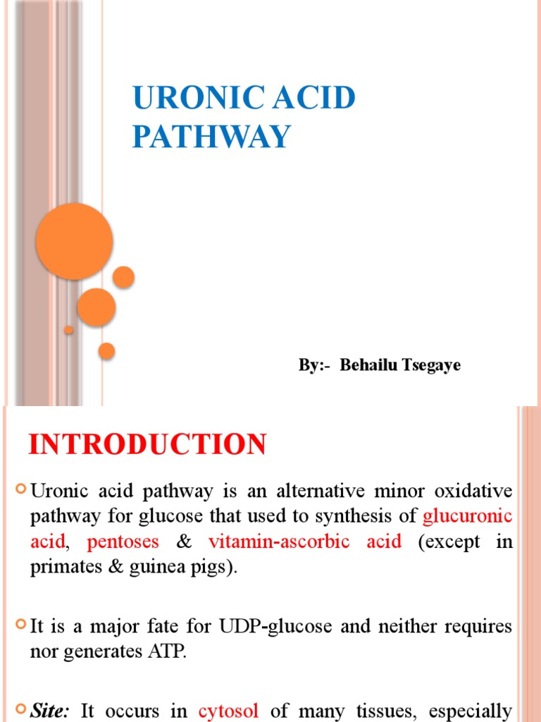 Uronic Acid Pathway | PDF | Vitamin C | Glucose