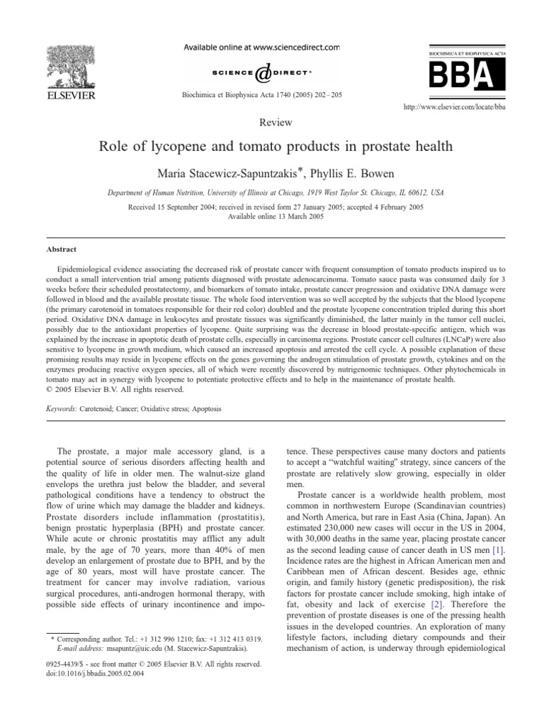 Lycopene Tomato in Prostate Health | PDF | Prostate Cancer | Prostate ...