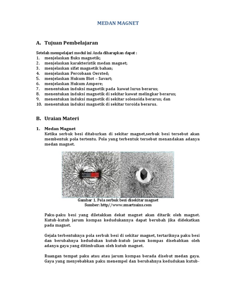 Karakteristik dan Induksi Medan Magnet | PDF