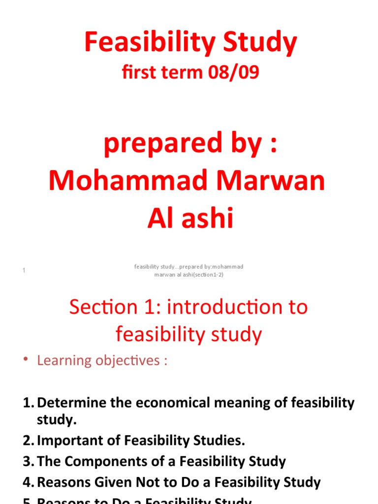 Introduction To Feasibility Studies 97 | PDF | Feasibility Study ...