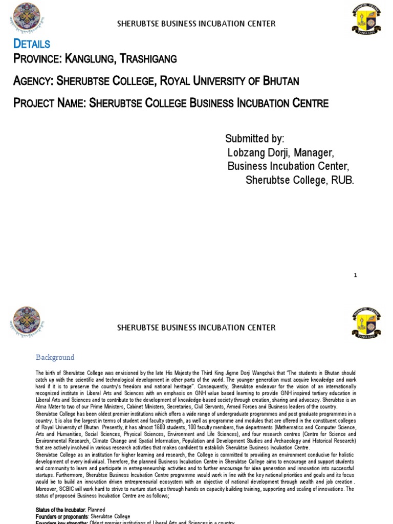 5 SC My Incubation Plan - Feb 6 | PDF | Entrepreneurship | Startup Company