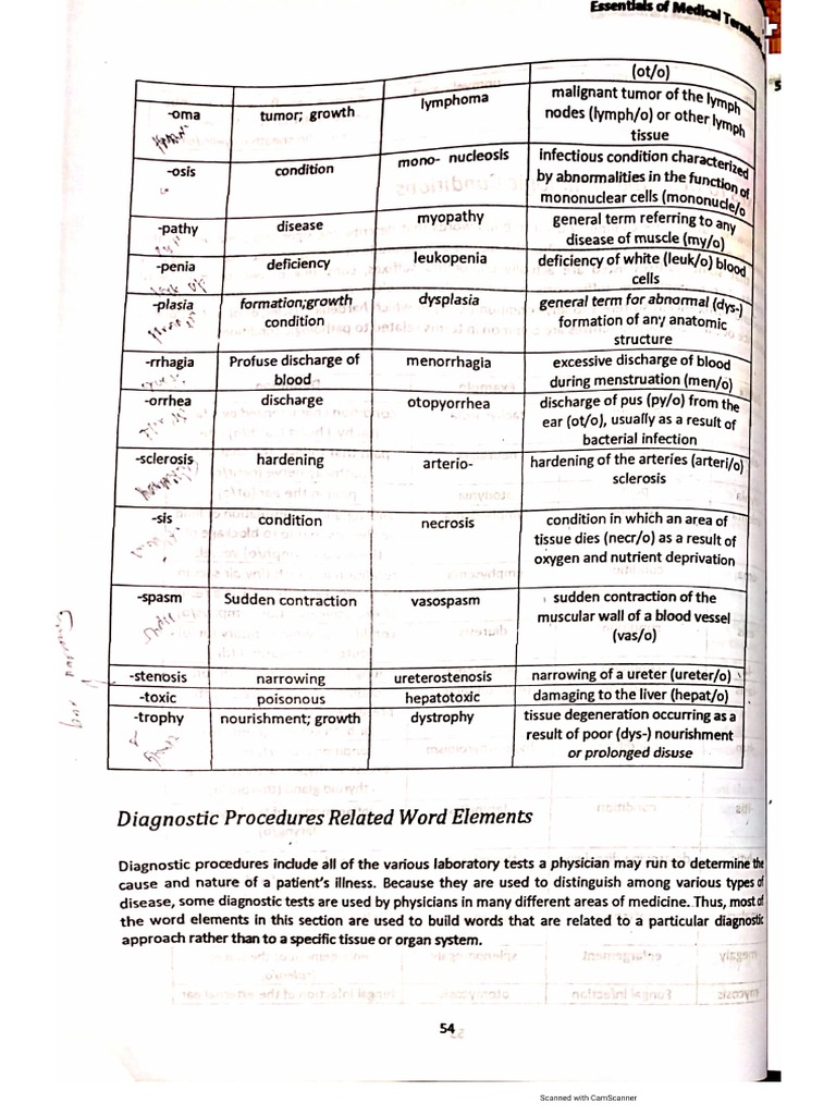 (Essential of Medical Terminology. | PDF
