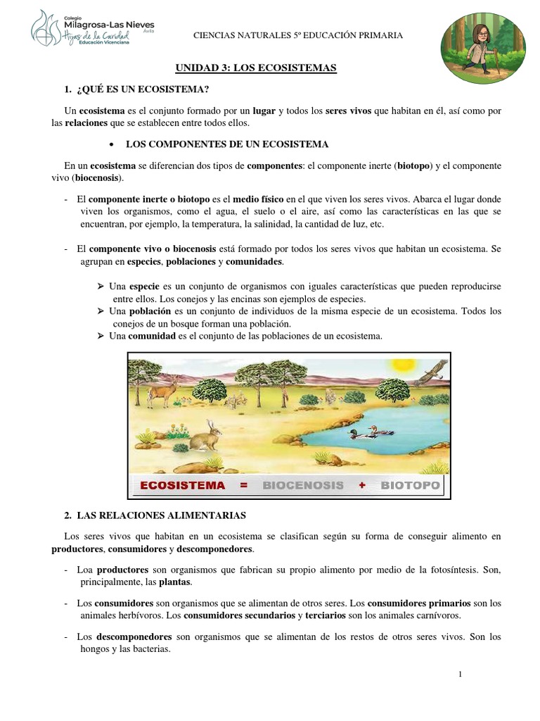 Tema 3 Los Ecosistemas | PDF | Ecosistema | Biodiversidad