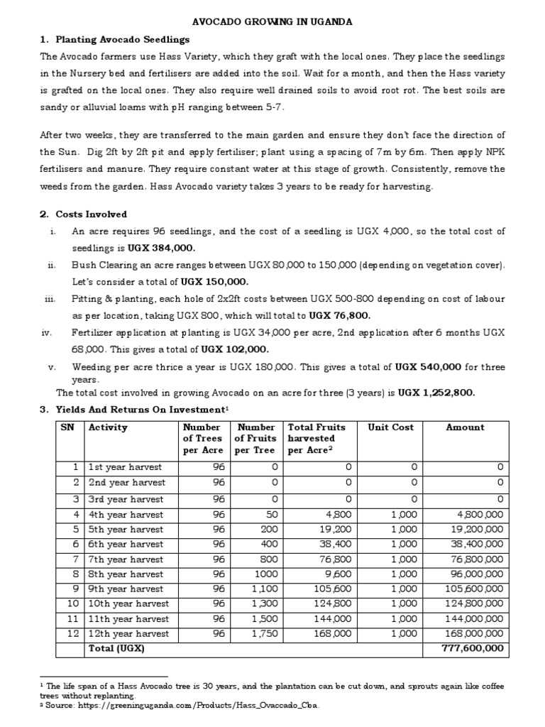 Avocado Growing in Uganda | PDF | Avocado | Fertilizer