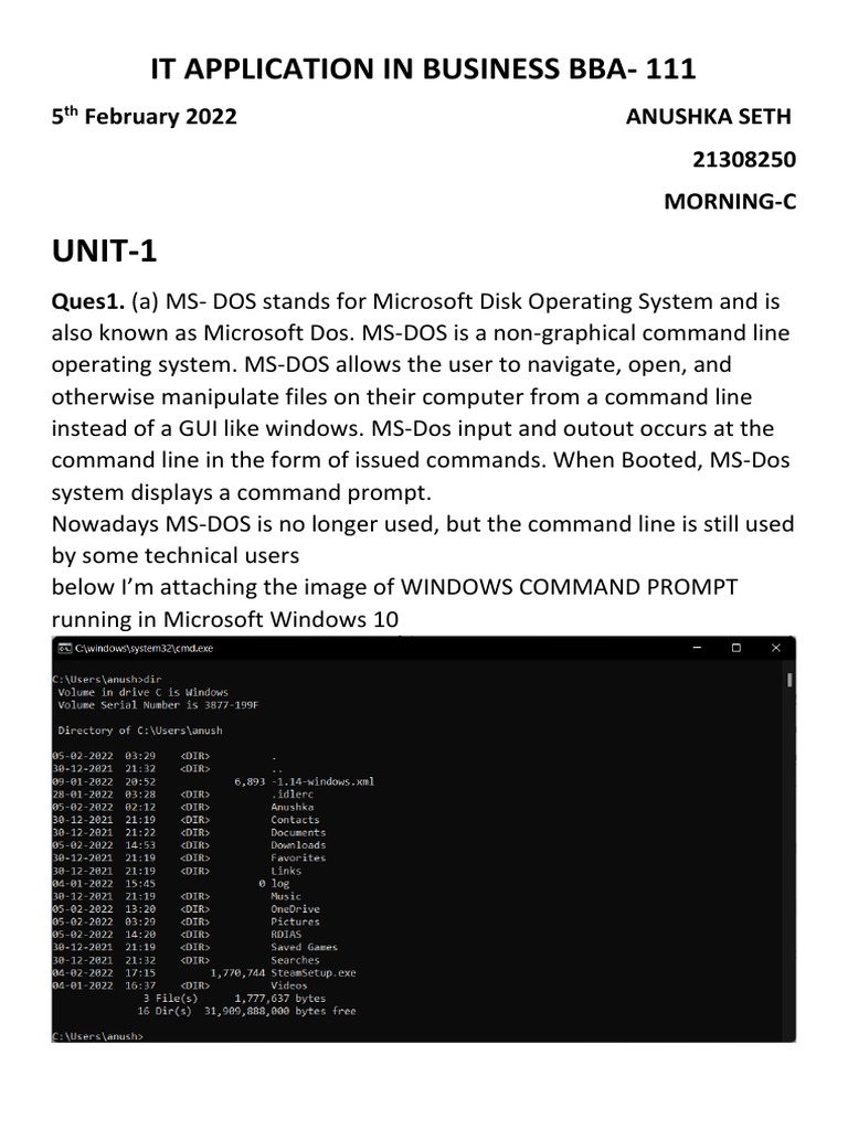 UNIT-1: It Application in Business Bba-111 | Download Free PDF | Word ...