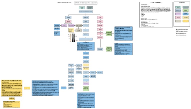 Bone Fracture Concept Map | PDF | Pain | Surgery