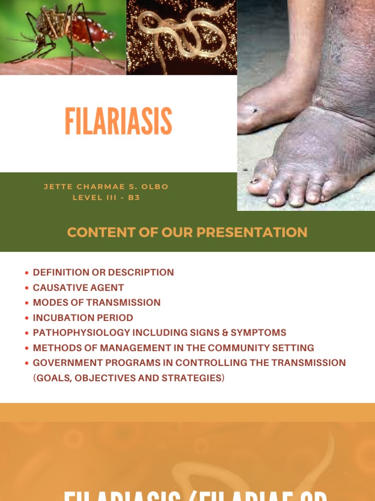 Filariasis Report (NCM 55 - B3) | PDF | Clinical Medicine | Parasitology