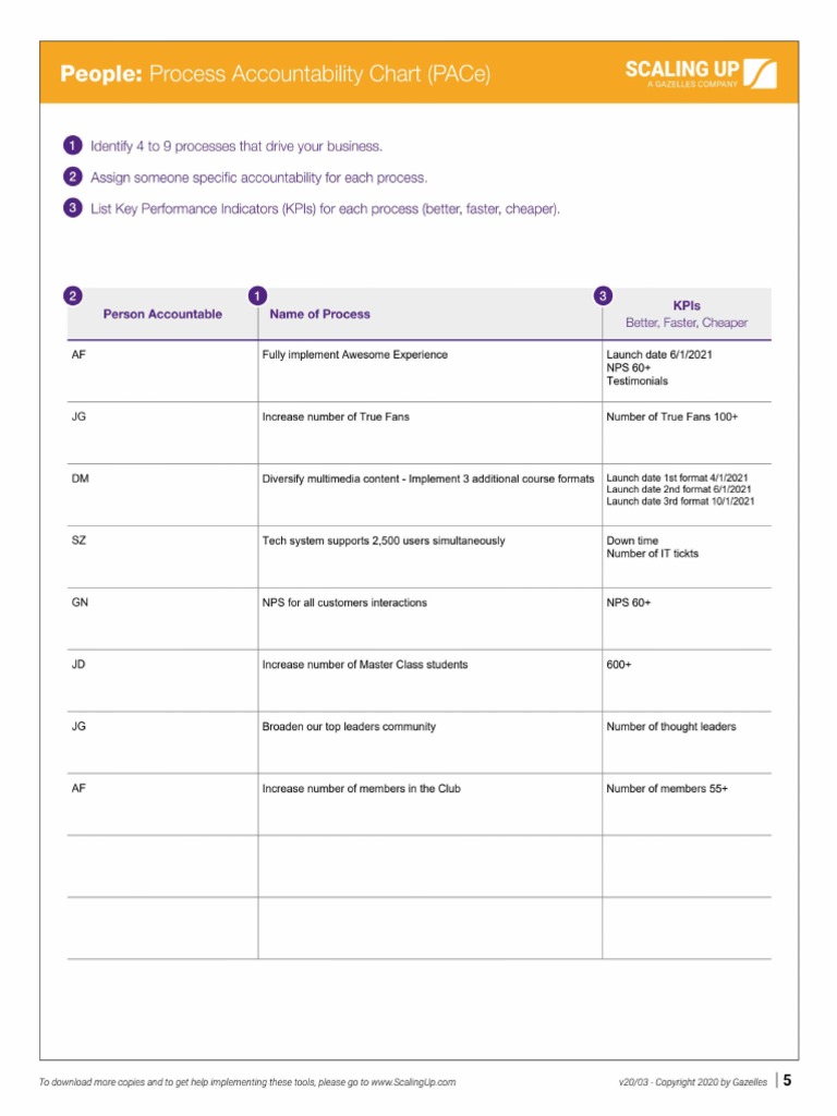 Example of Process Accountability Chart (PACe) Tool | PDF