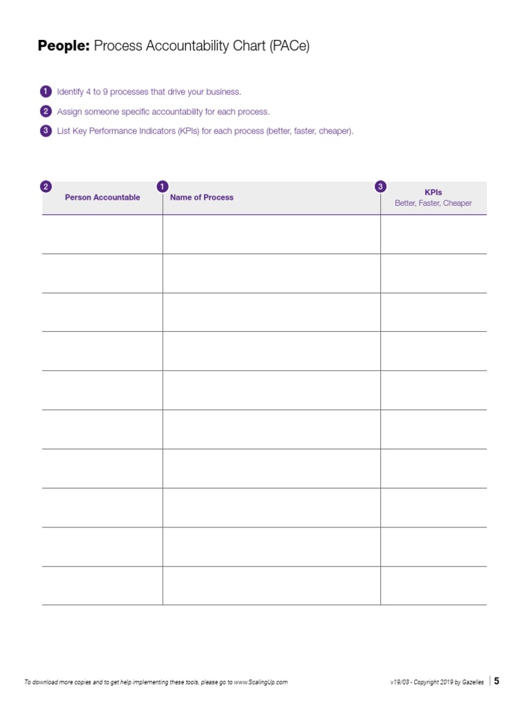 People: Process Accountability Chart (PACe) Editable | PDF | Career ...