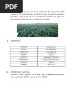 Ficha Técnica Del Pasto Marandú (Brachiaria Brizantha Cv. Marandú ...