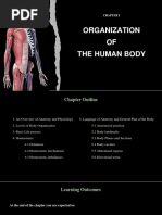 Organization and General Plan of The Body | PDF | Human Body | Abdomen