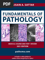 Visual Mnemonics Immunology 40 Medical Mnemonic | PDF | Lymph Node ...