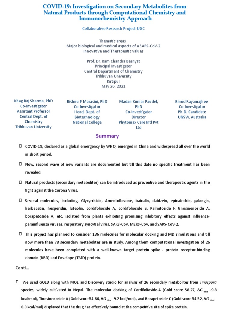 COVID-19 Project | PDF | Docking (Molecular) | Antiviral Drug