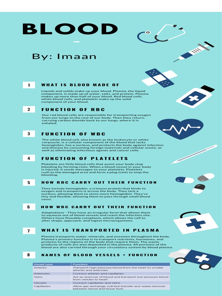 Blood Functions and Components Infographic | PDF