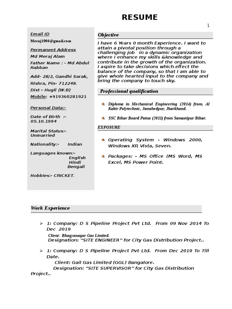 Meraj Resume | PDF