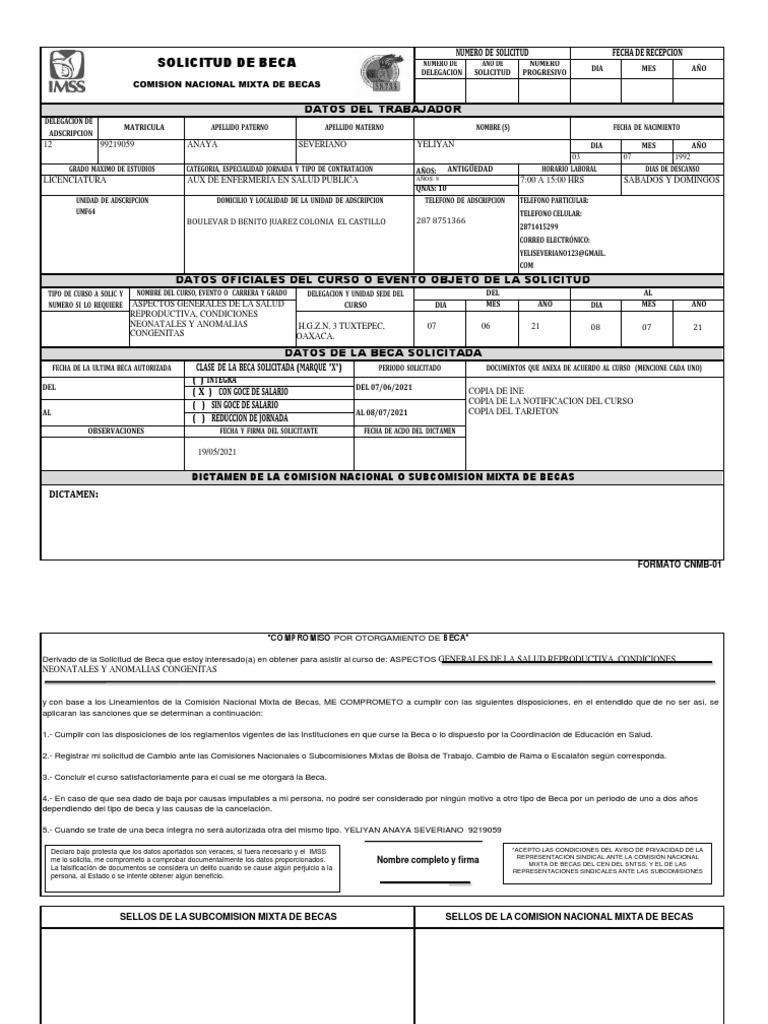 Solicitud de Beca 2020 Formato CNMB-01 Imss | PDF