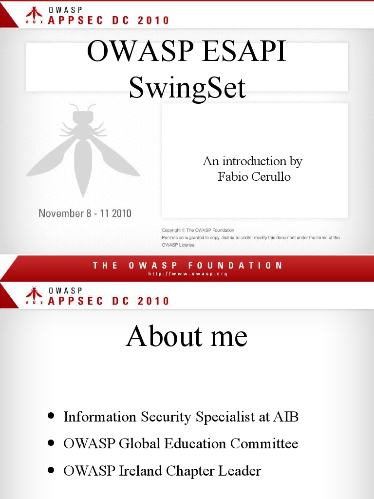 Owasp Esapi Swingset: An Introduction by Fabio Cerullo | PDF | Computer ...