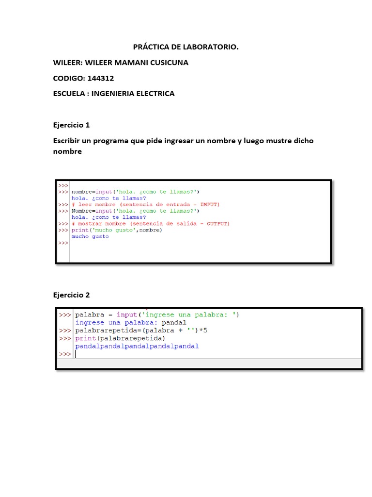 Práctica de Laboratorio Tic (Python) | PDF