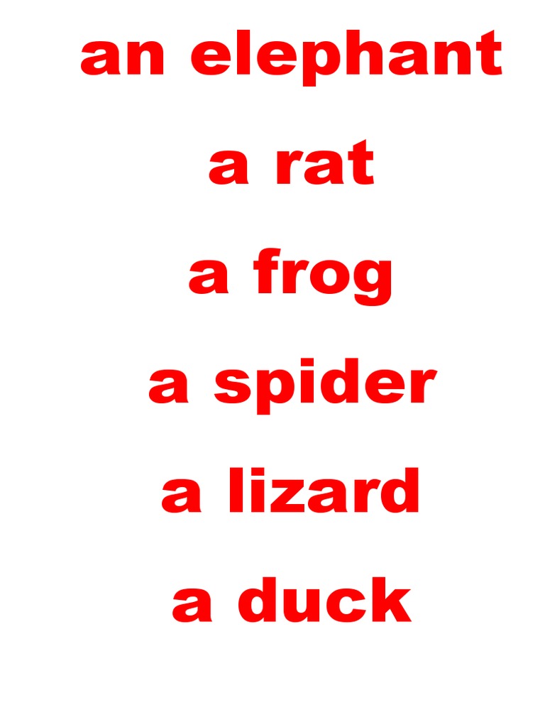 Animals - Reading | PDF