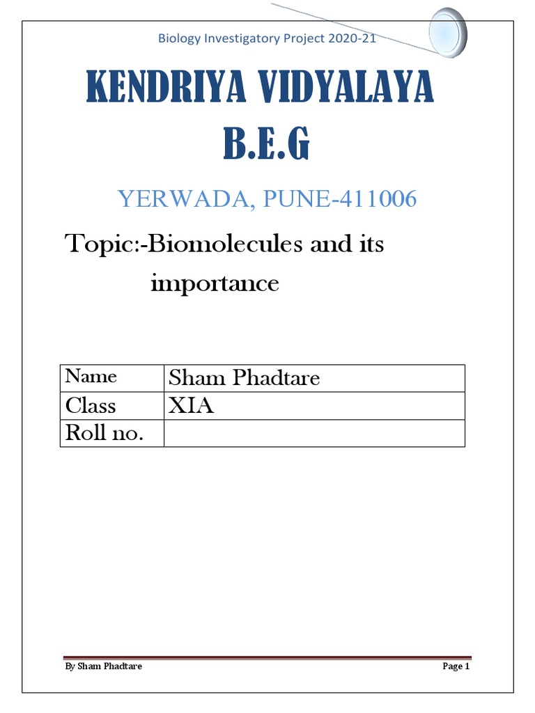 BIO Prac Proj. | PDF | Macromolecules | Biomolecules