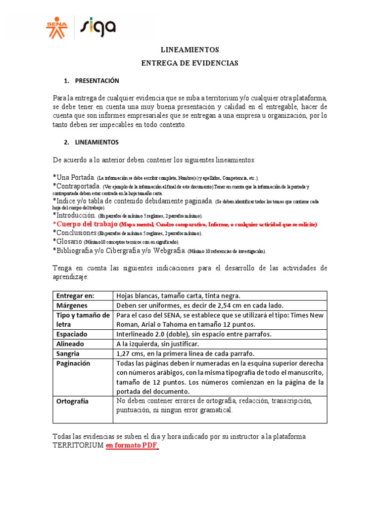 Lineamientos Entrega de Evidencias | PDF