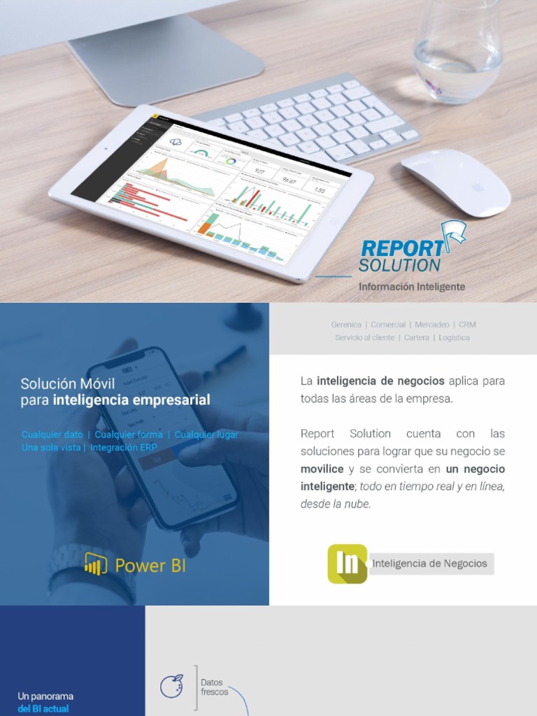 PBI Report Solution | PDF