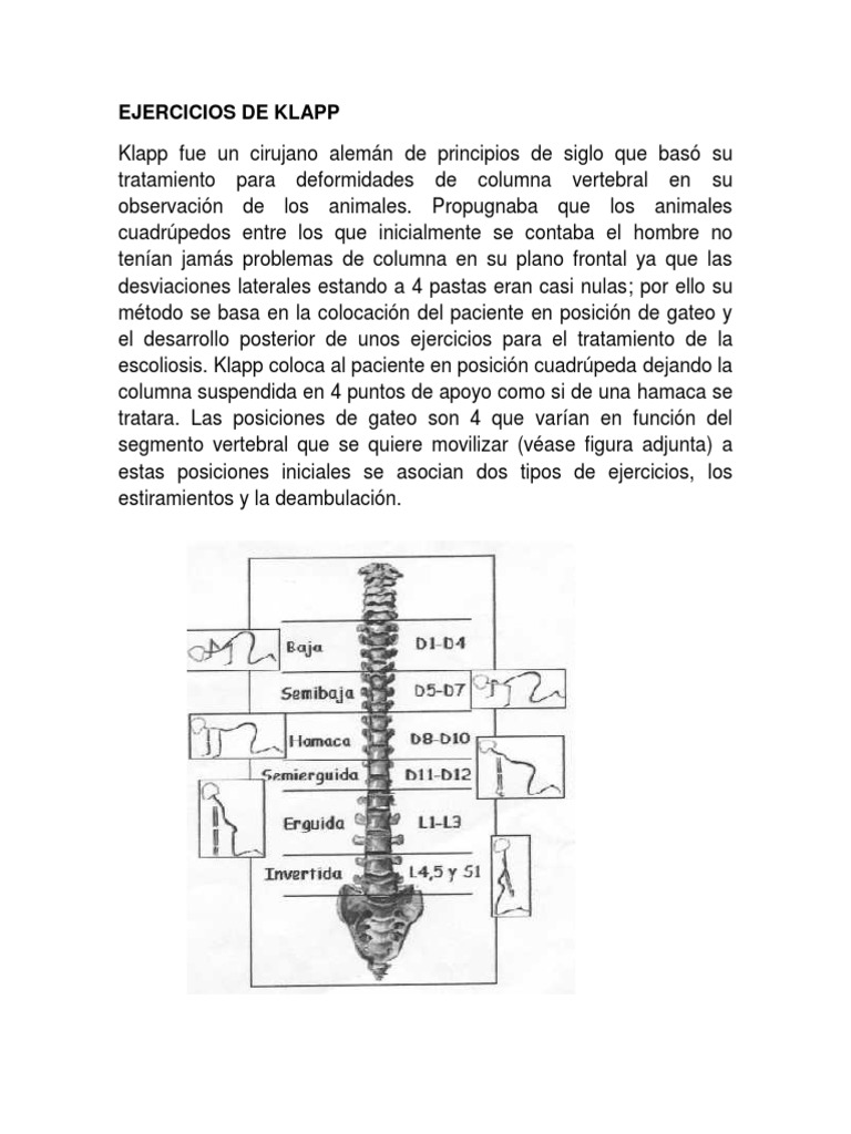 Ejercicios de Klapp, Williams | PDF | Escoliosis | Anatomía humana