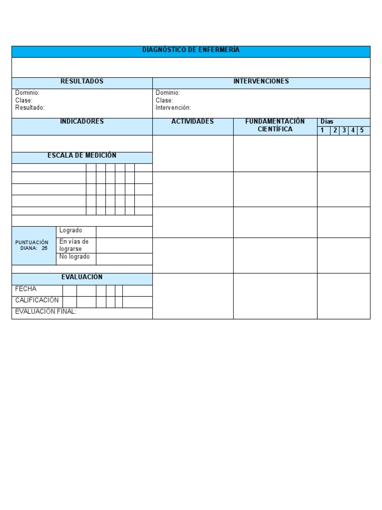 Formato Pae | PDF | Finanzas y dinero