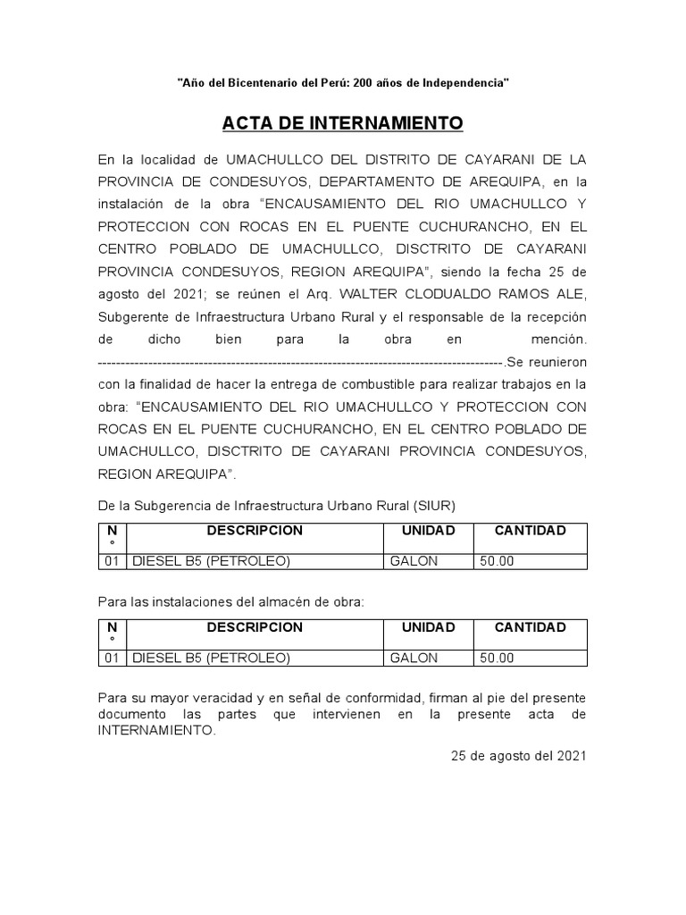 Acta de Internamiento | PDF